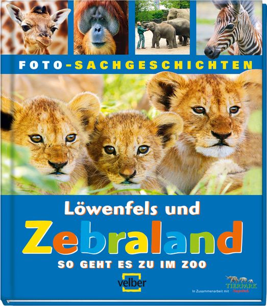 Löwenfels und Zebraland - So geht es zu im Zoo | AJuM